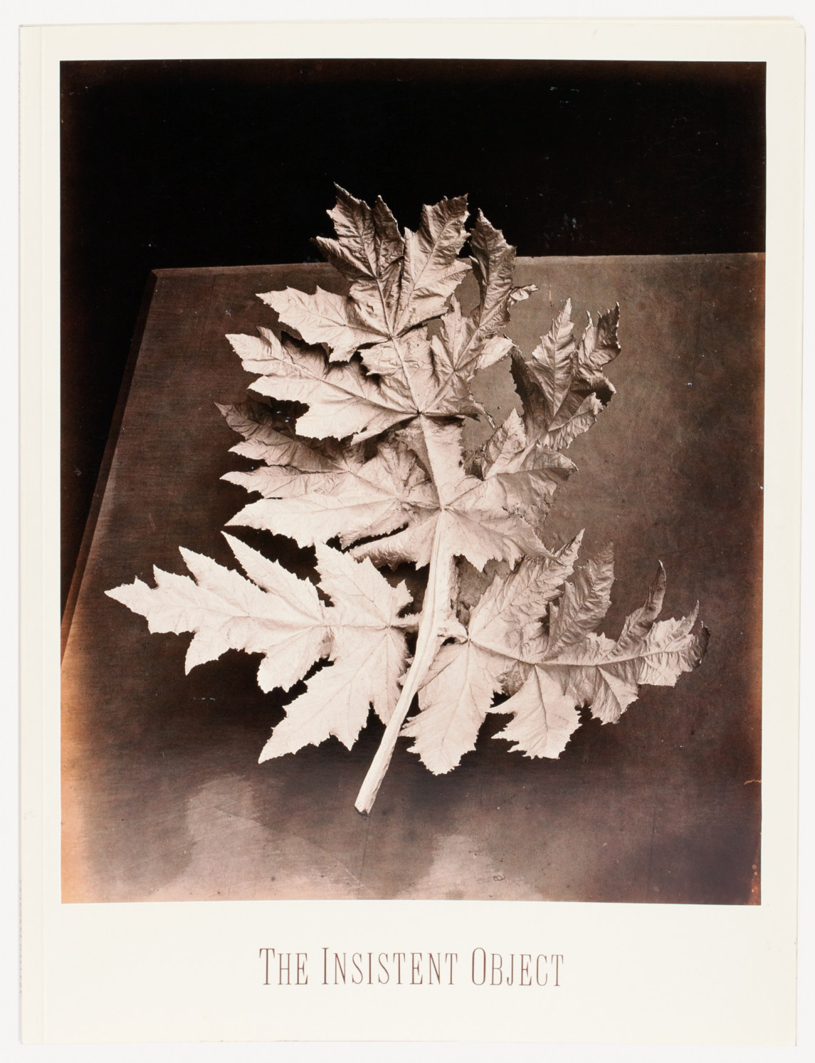 The Insistent Object: Photographs of 1845–1986 | Fraenkel Gallery