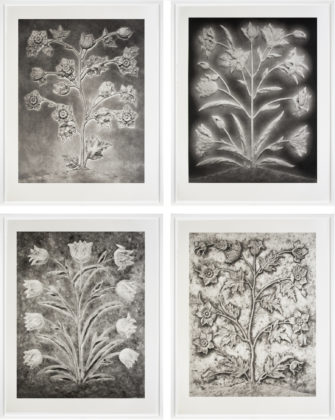 Adam Fuss | Fraenkel Gallery