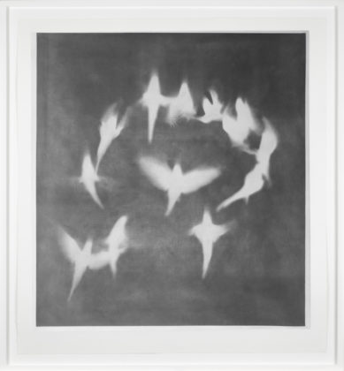 Adam Fuss | Fraenkel Gallery