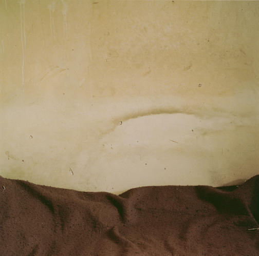 Martina Mullaney | Fraenkel Gallery