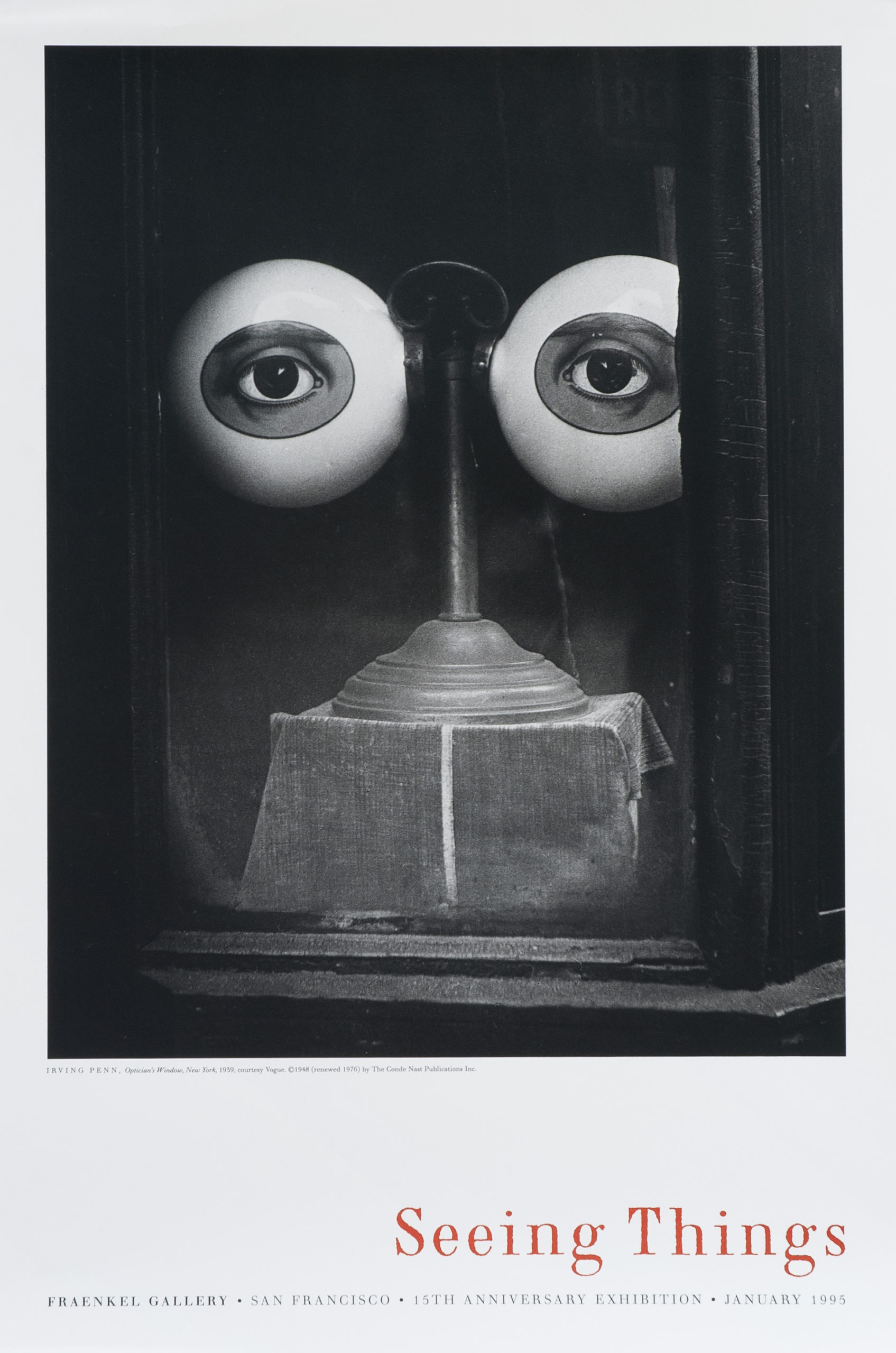 Seeing Things (poster) | Fraenkel Gallery