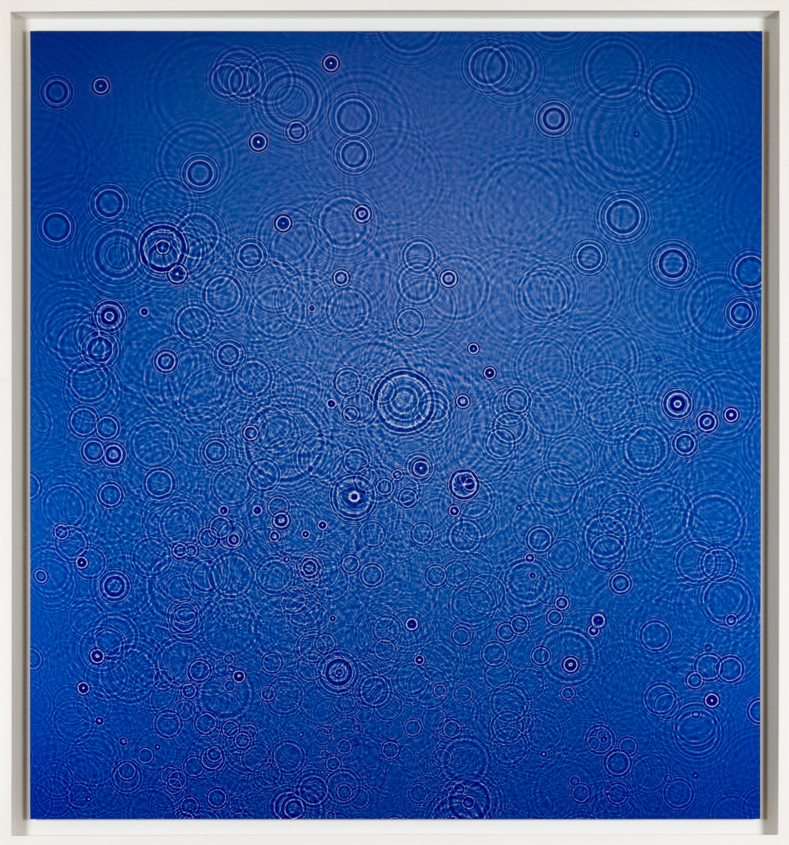 Adam Fuss | Fraenkel Gallery