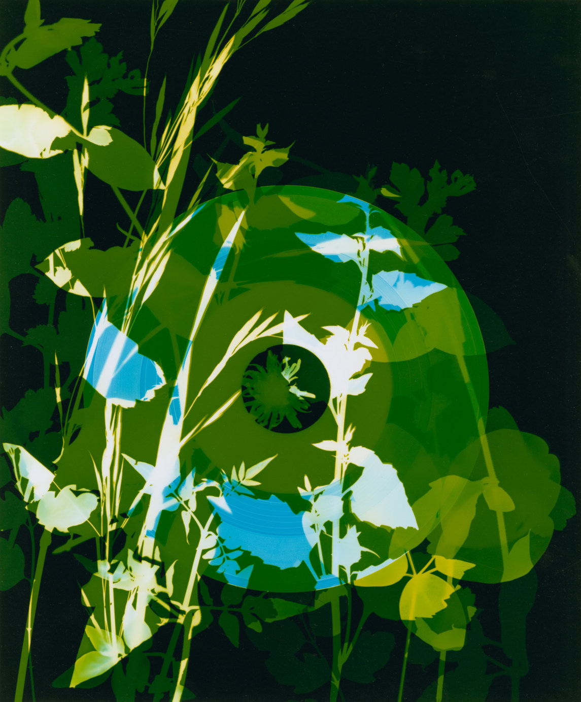 Art Basel | Fraenkel Gallery