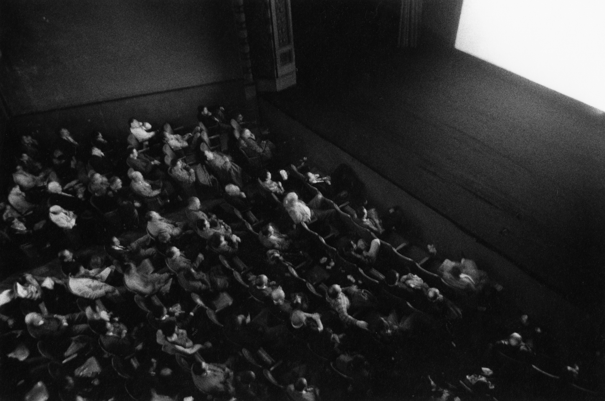 Explore – Diane Arbus curated by Carrie Mae Weems | Fraenkel Gallery