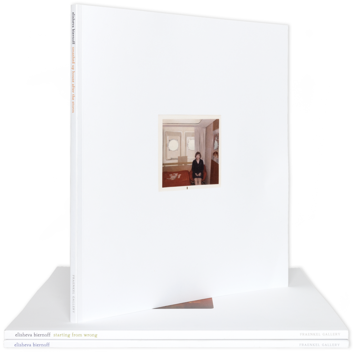 Elisheva Biernoff: Monograph Set | Fraenkel Gallery