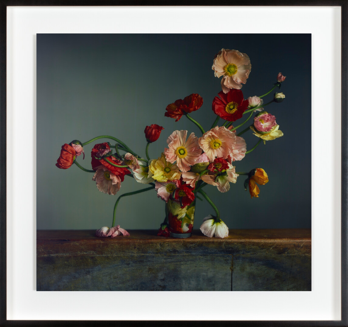 Richard Learoyd | Fraenkel Gallery