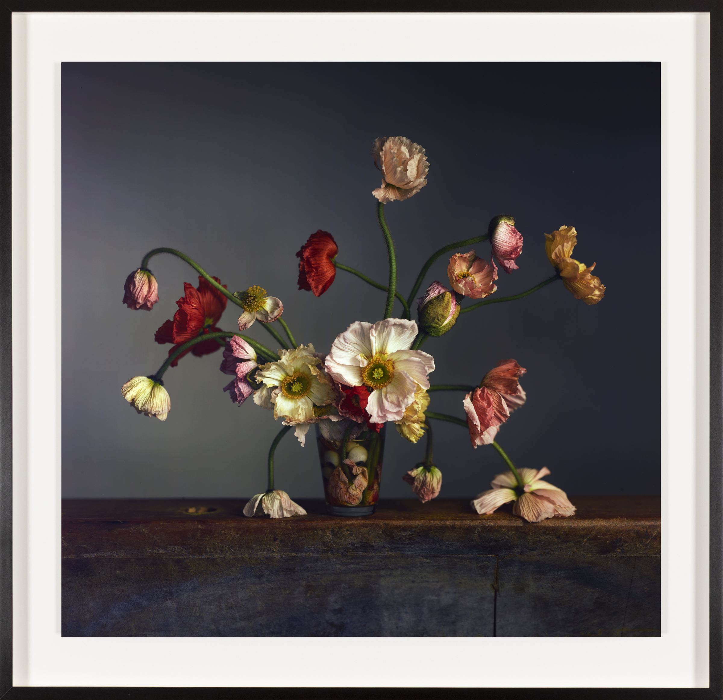 Richard Learoyd | Fraenkel Gallery